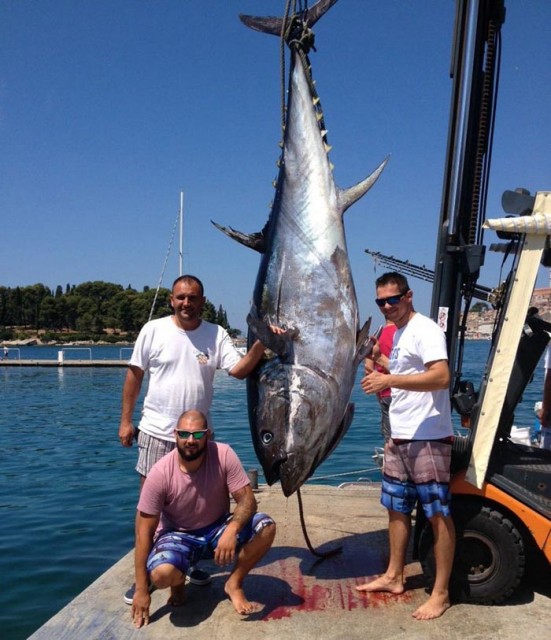 Borba s grdosijom trajala je čak dva i pol sata - Zanimljivosti ...